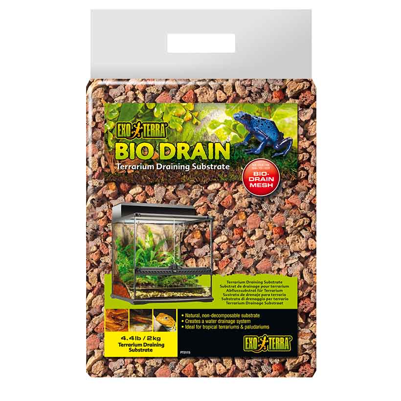 Bioloark- Luji Glass Cup - Insektenliebe
