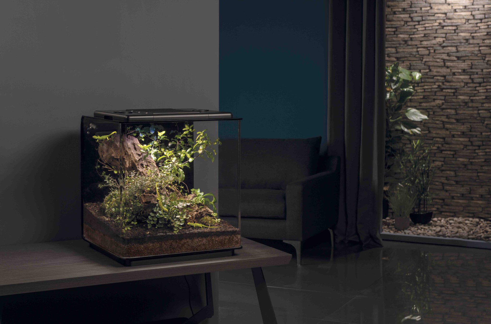 Insect and terrarium shop - Insektenliebe